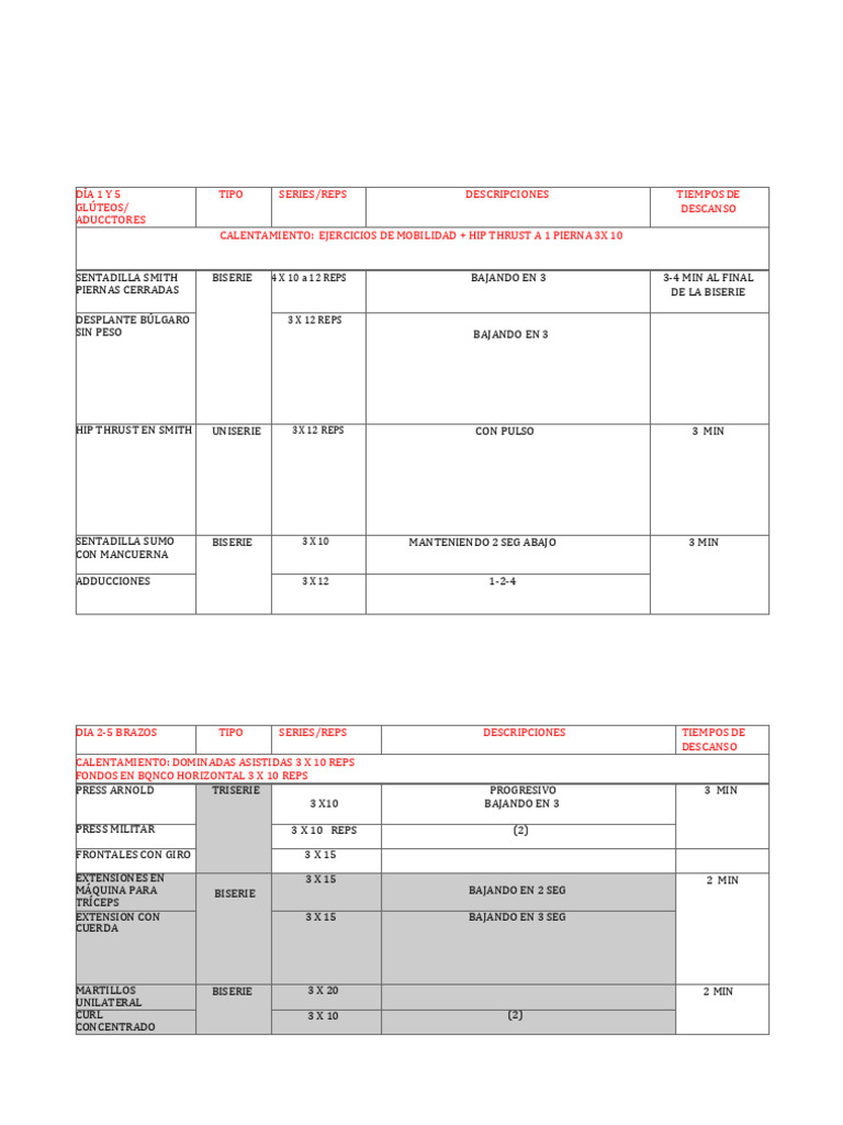 Plan de Entrenamiento Nery 1: Rutinas Detalladas | PDF