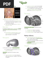 Anatomia Do Figado e Vias Biliares | PDF | Fígado | Anatomia