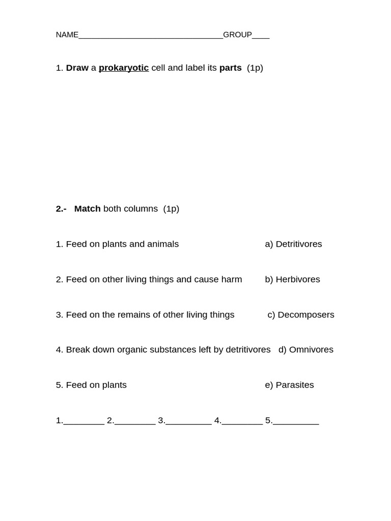Draw Prokaryotic Parts: NAME - GROUP | PDF | Cell (Biology) | Life