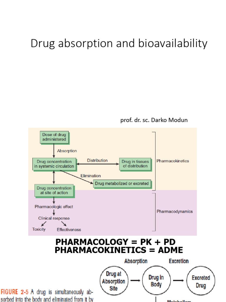 L2 + S2 - Drug Absorption and Bioavailability | PDF