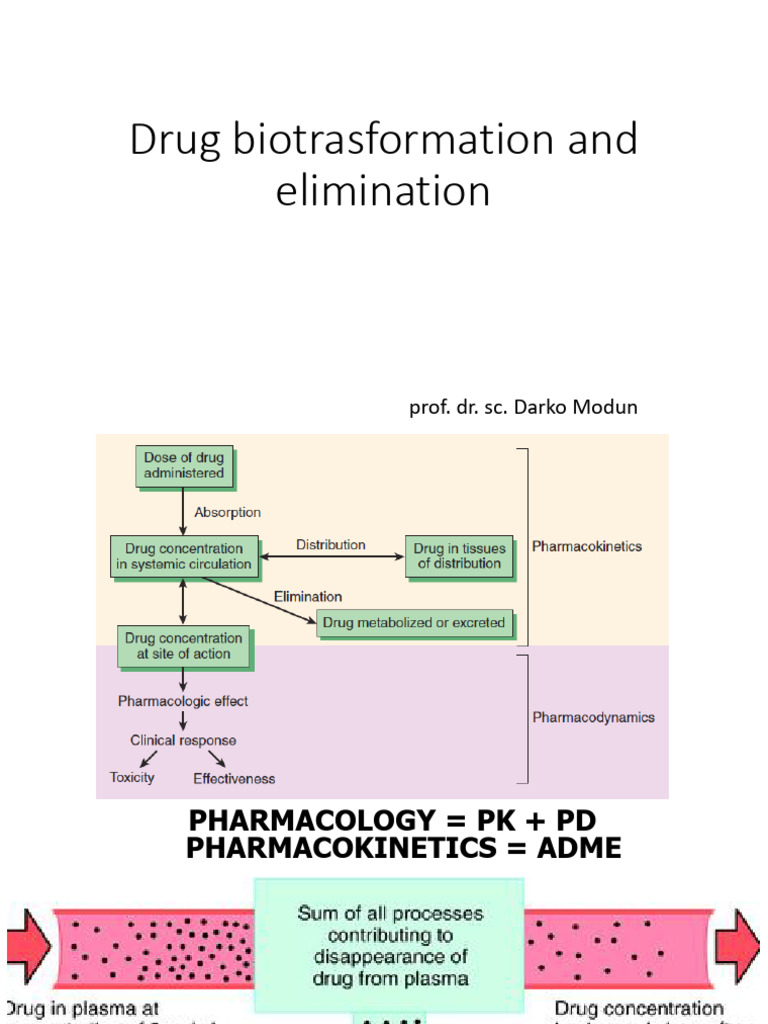 Drug Biotransformation and Elimination | PDF