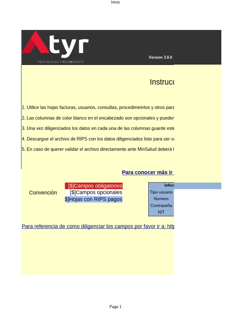 Plantilla RIPS | PDF