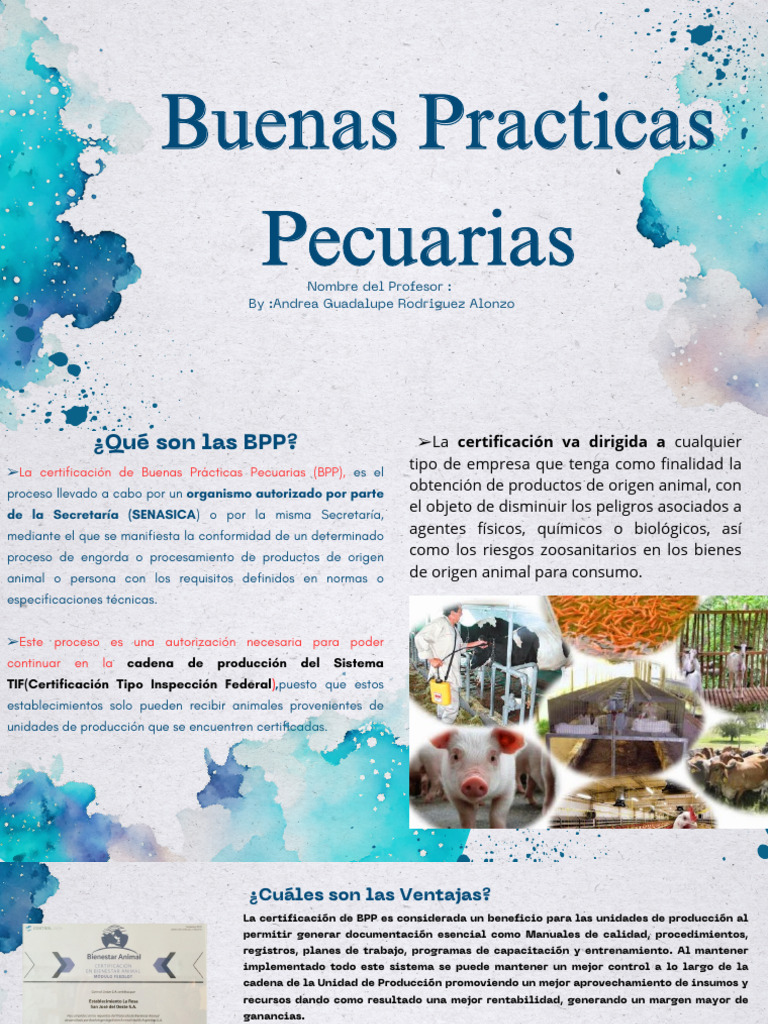 BUENAS PRACTICAS PECUARIAS | PDF | Seguridad alimenticia