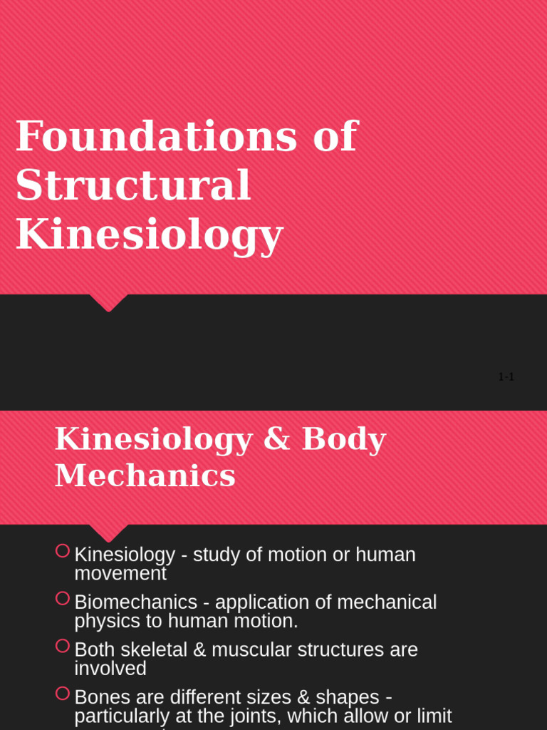 Understanding Structural Kinesiology | PDF | Anatomical Terms Of ...