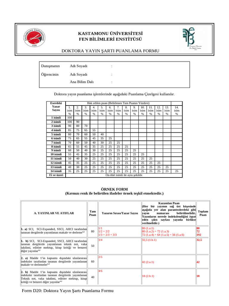 Doktora Yayin Puanlama Form | PDF