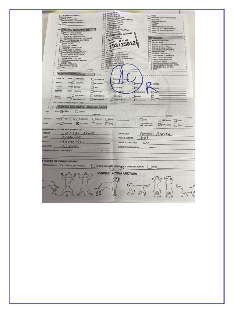 C__VetLab_PRD_NovusVet_NovusVet_Files_Archivos complementarios Ordenes_2025_1_23_Orden y macro ...