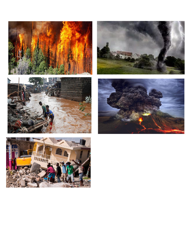 Desastres Naturales - Danny | PDF