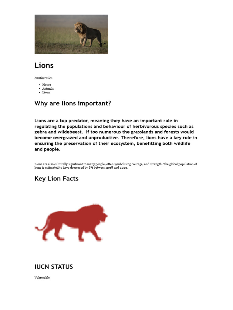 Lions: Why Are Lions Important? | PDF | Lion | Hunting
