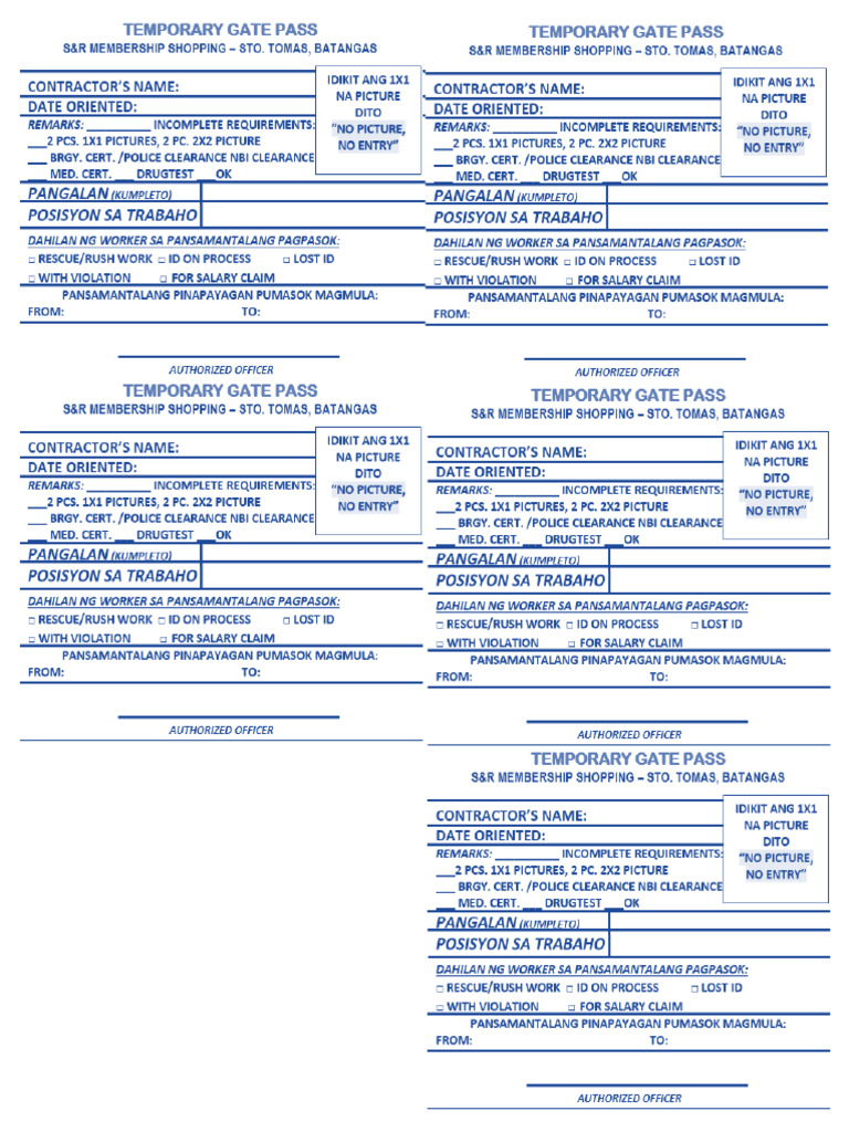 Temporary Pass Blue | PDF