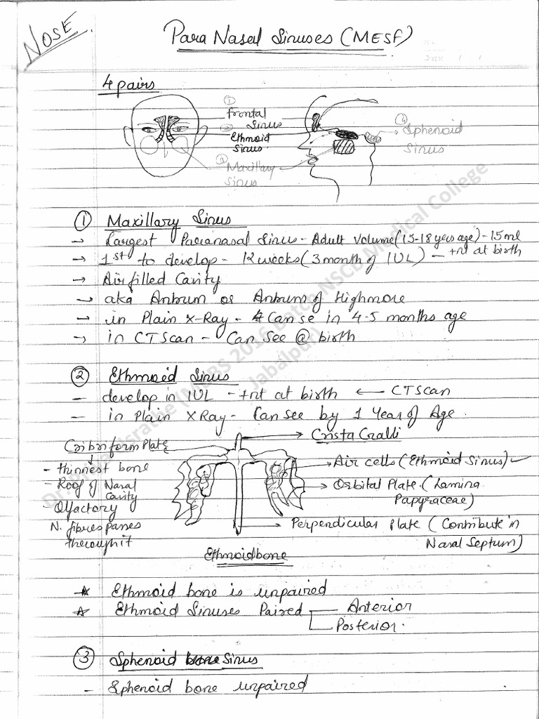 Nose by DR Priya | PDF
