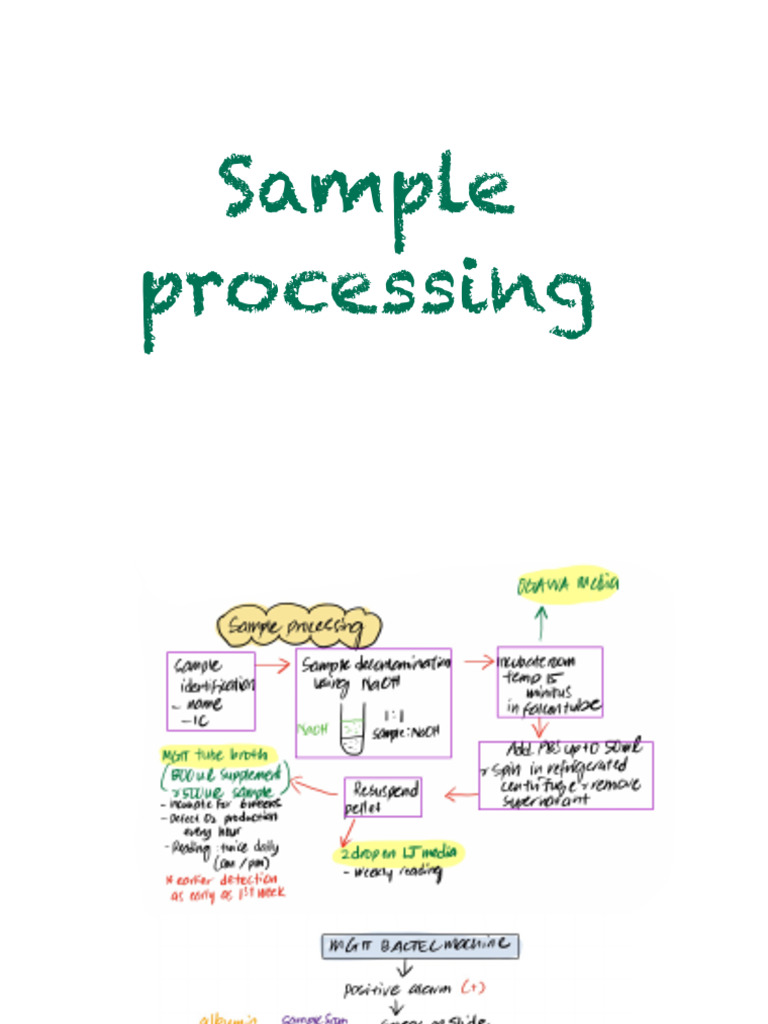 Efficient Sample Processing Guide | PDF
