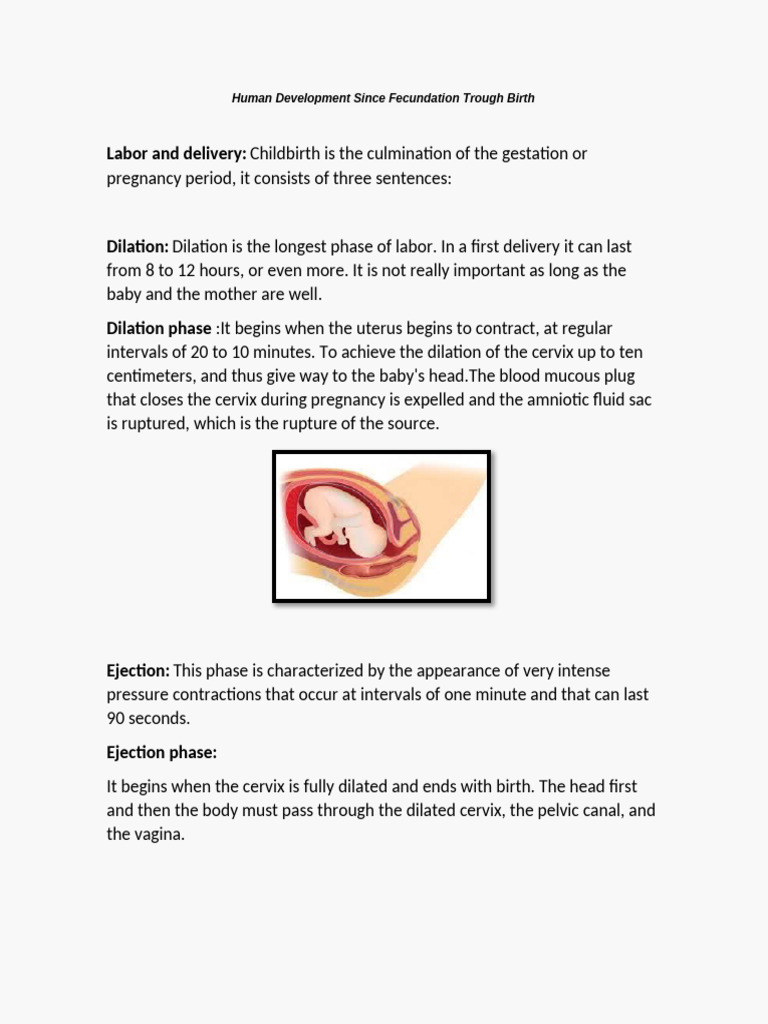 Childbirth Process Explained | PDF