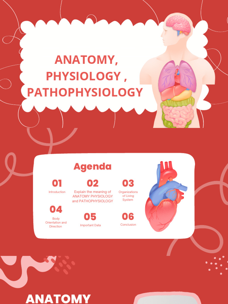 Anatomy, Physiology, Pathophysiology - 20241120 - 012048 - 0000 | PDF ...