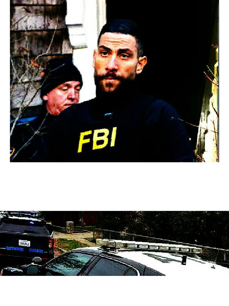 PDFReader 20250216 0020 | PDF