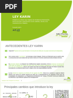 Modelo Protocolo de Prevencion Del Acoso Sexual, Laboral y La Violencia en El Trabajo Ley Karin ...