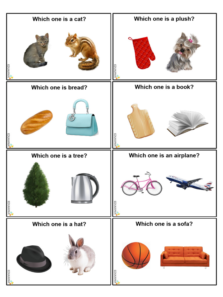 H31 Intraverbal ABLLS R Aligned H31 ? Which Questions PDF | PDF