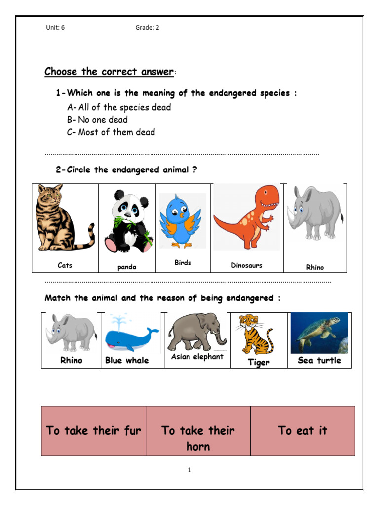 Endangered Species Quiz for Grade 2 | PDF