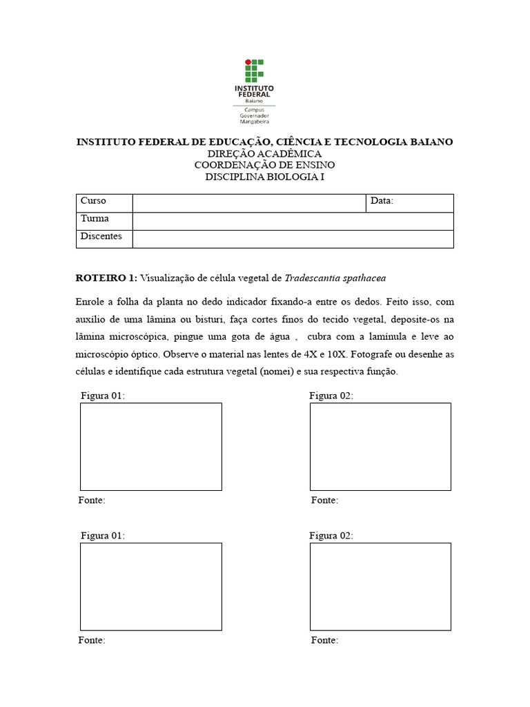 Modelo Relatório Simplificado Prática Biologia | PDF