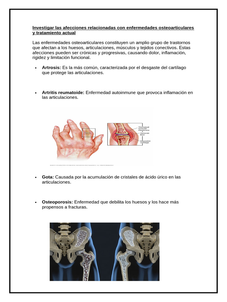 Anatomia 3 | PDF