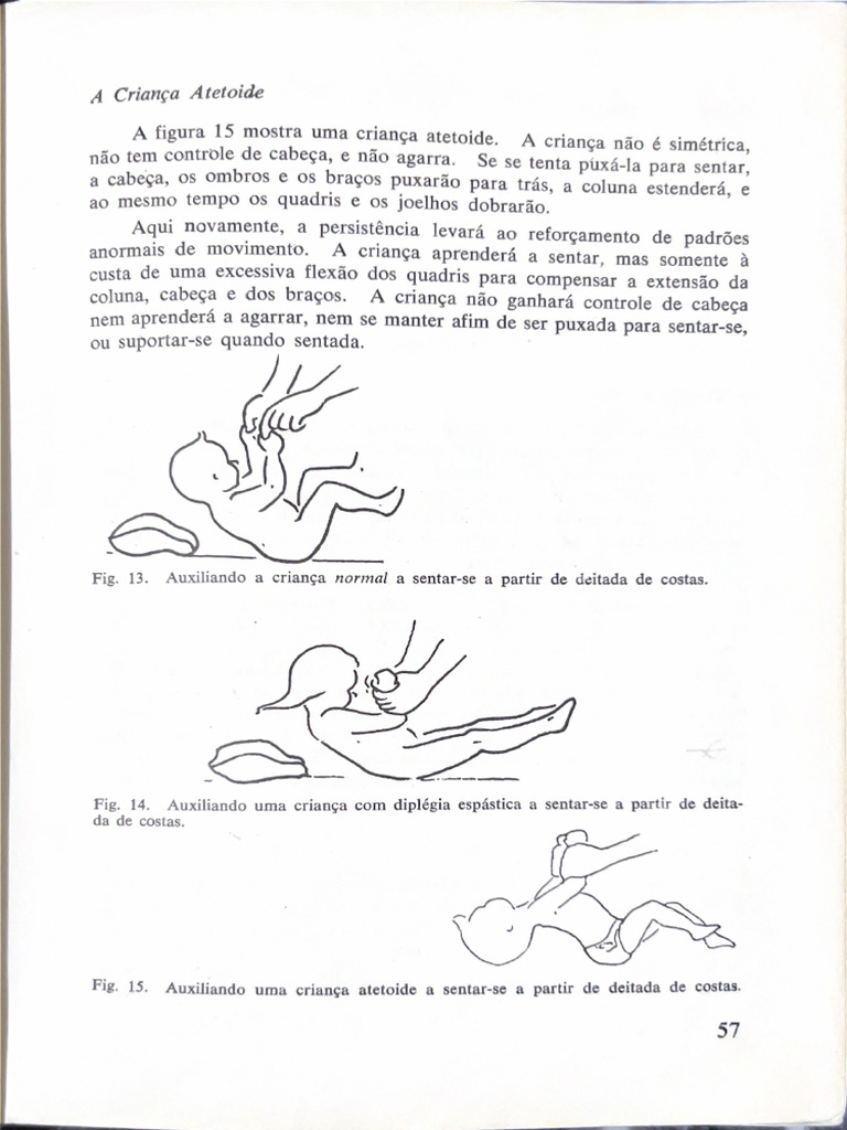 Manuseio Do PC | PDF