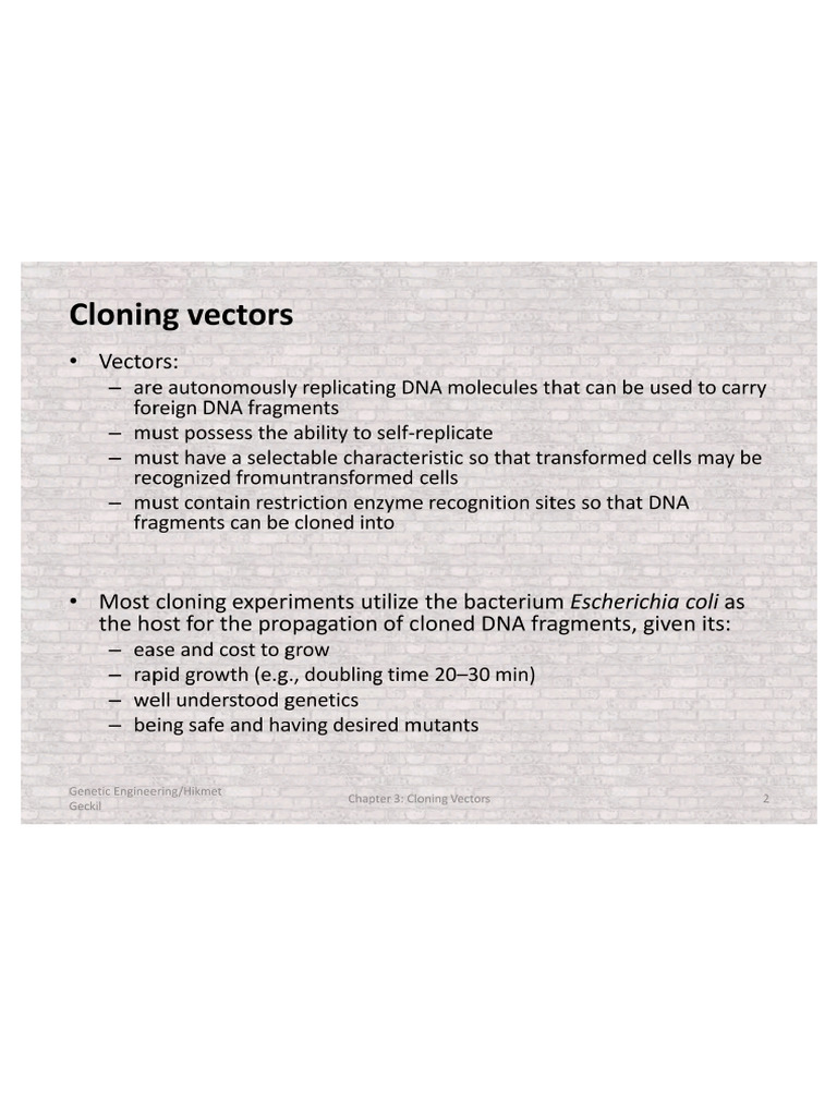 Gene Cloning Vector | PDF