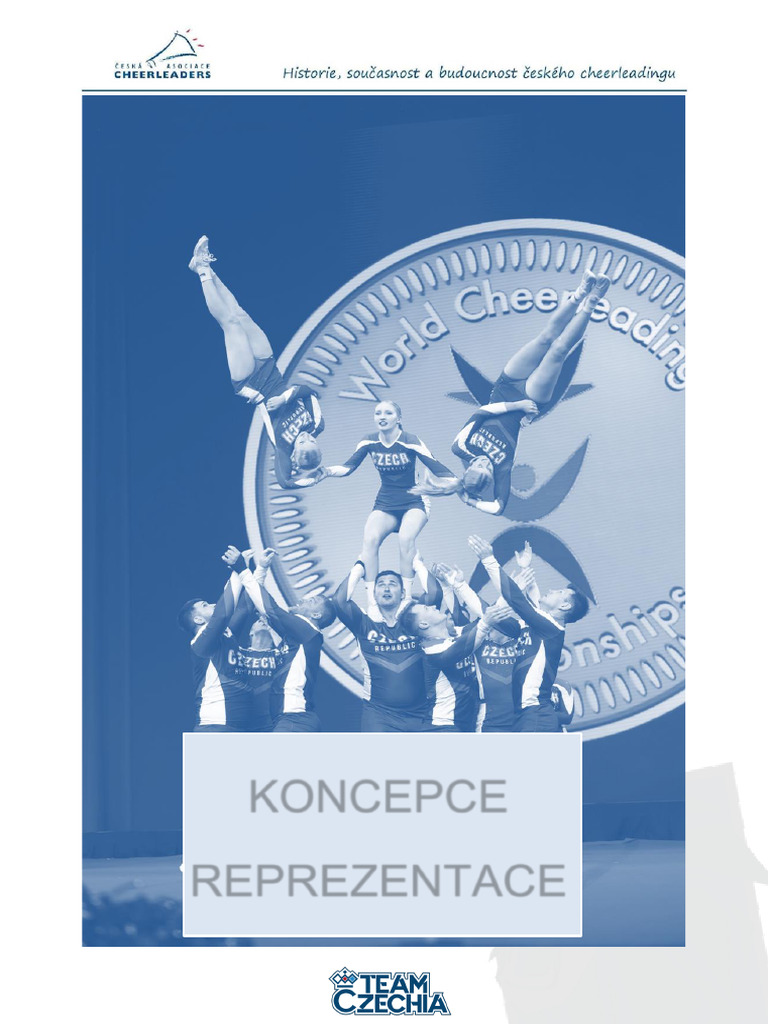 Koncepce Reprezentace 1 | PDF