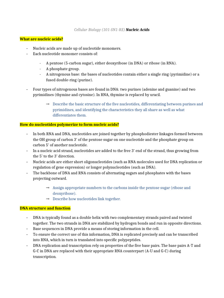 Nucleic Acids Key Concepts | PDF | Nucleotides | Dna