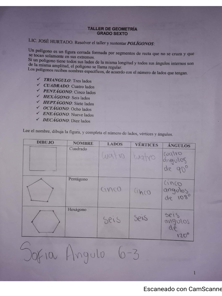 Geometría - Sofía Angulo Mosquera 6.3 | PDF