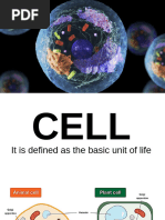 Cell Theory - Notes | PDF