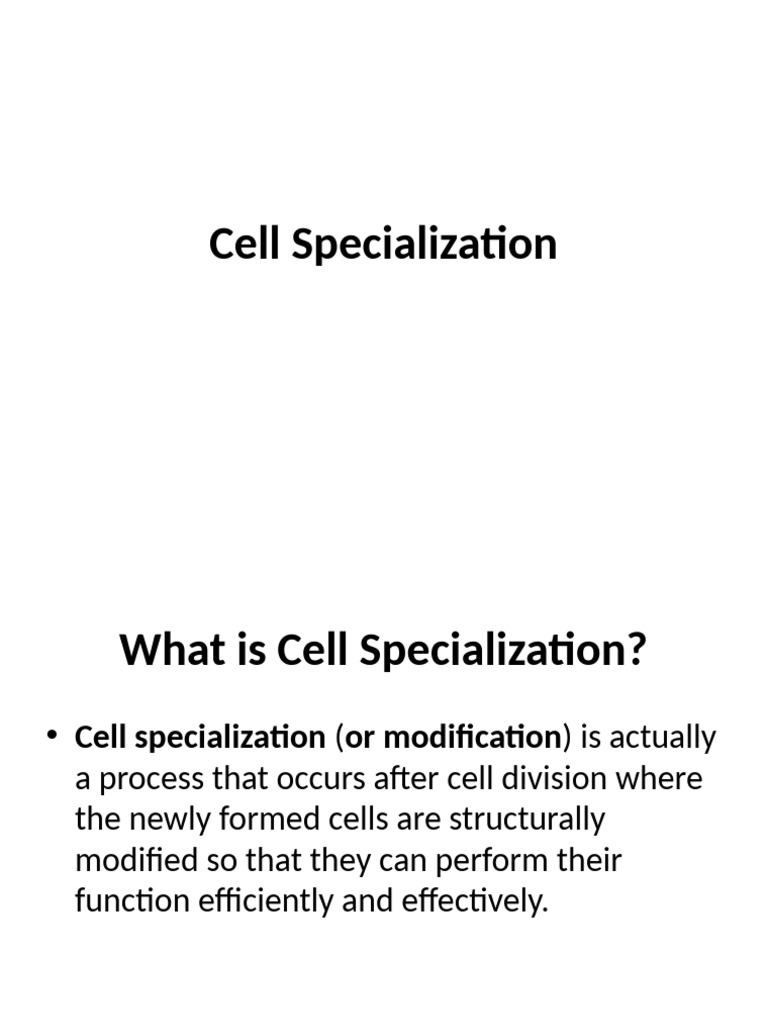 Week 3 Cell Specialization | PDF | Cell (Biology) | Tissue (Biology)