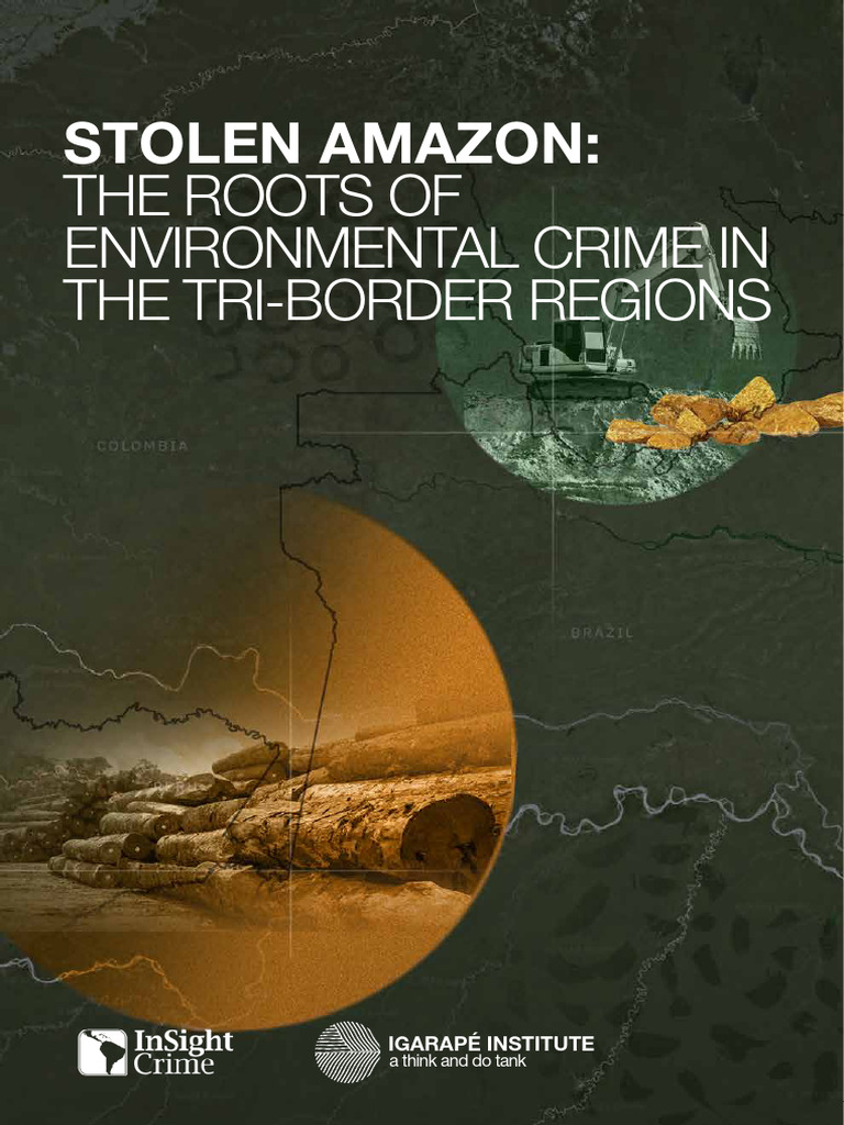 Stolen-Amazon-the-roots-of-environmental-crime-in-the-tri-border ...