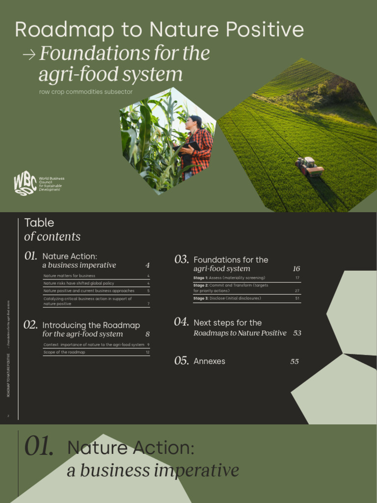 Roadmaps To Nature Positive Foundations For The Agri Food System 2023. ...