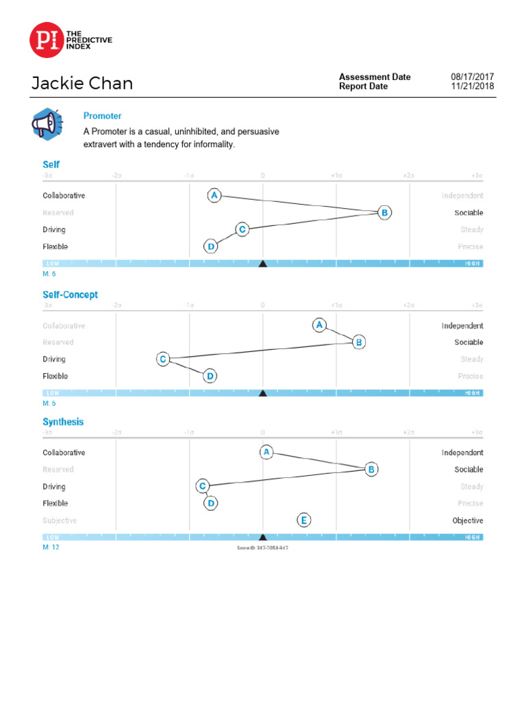 TPSG Behavioral Assessment Report | PDF | Extraversion And Introversion | Job Satisfaction