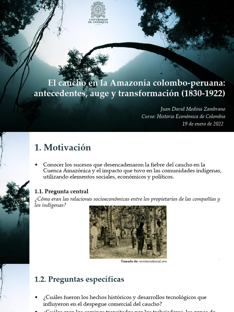 Impacto del Caucho en la Amazonía (1830-1922) | PDF | Colombia | Perú