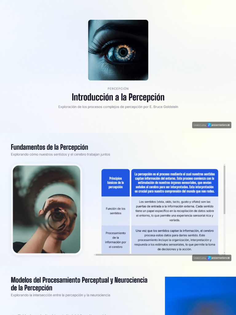 Percepción y Procesos de Percepción Según E. Bruce Goldstein | PDF