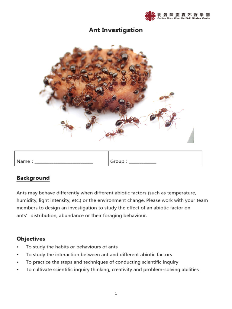 Ant Behavior Investigation Guide | PDF | Hypothesis | Experiment