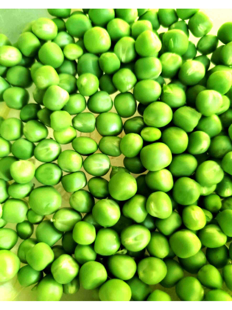 Peas | PDF