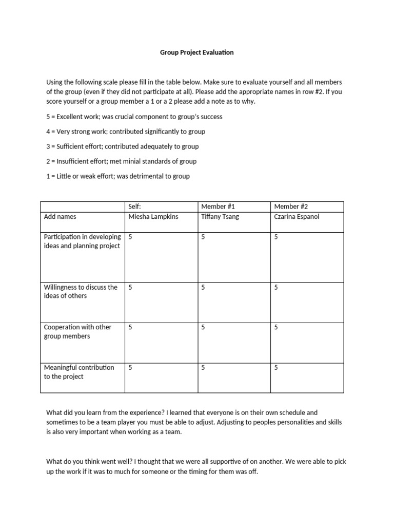 Group Project Evaluation | PDF