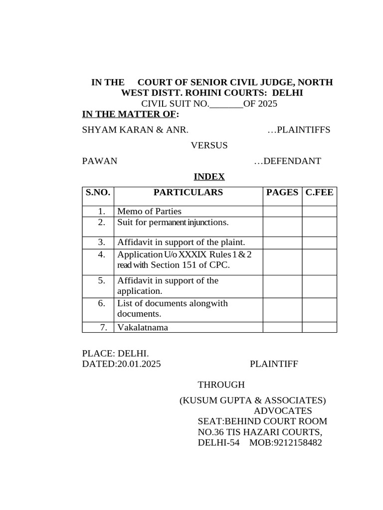 Permanent Injunction Shyam Karan Asdha Devi Kusum Gupta | PDF ...