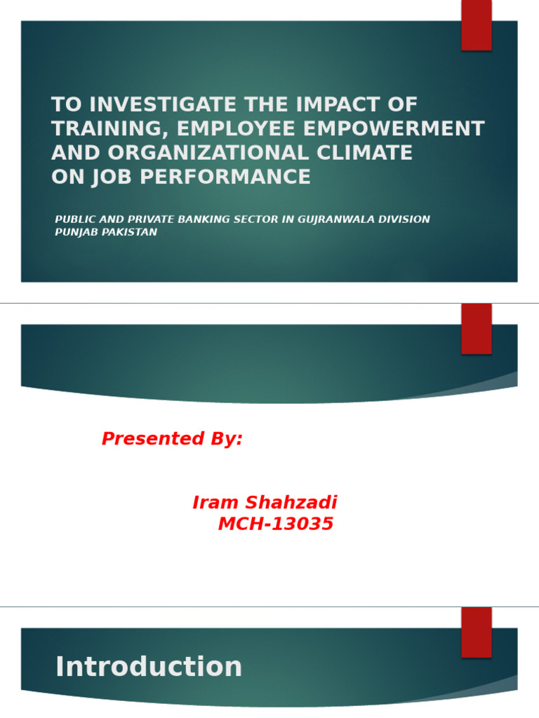 Mch 13035 Iram | PDF | Employment | Psychology