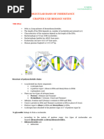 NCERT - Molecular Basis of Inheritance | PDF | Operon | Translation (Biology)