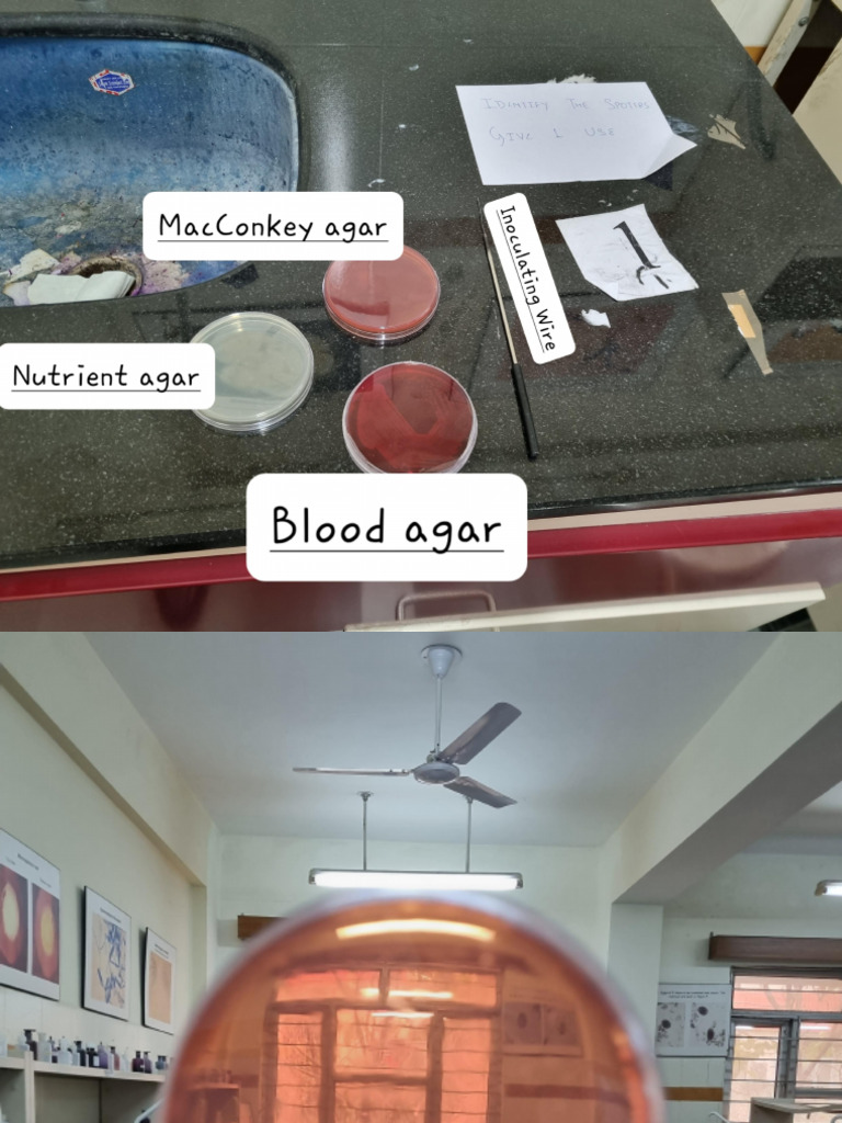 Micro Spotters | PDF