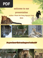 Amur Leopard - Endangered Species | PDF | Leopard | Organisms