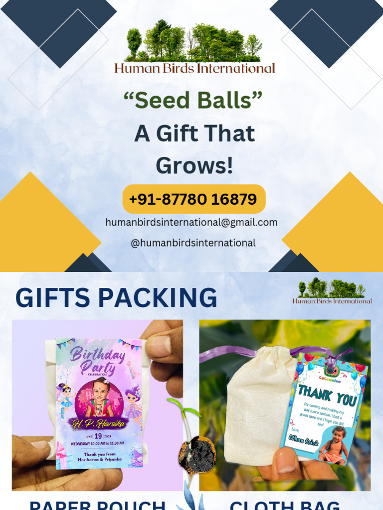 Eco-Friendly Seed Ball Gift Options | PDF