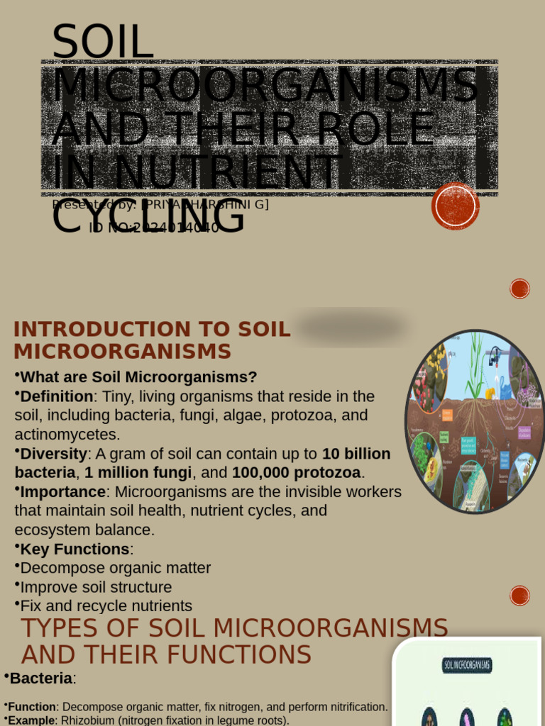 Soil Microorganisms and Their Role in Nutrient Cycling | PDF | Soil ...