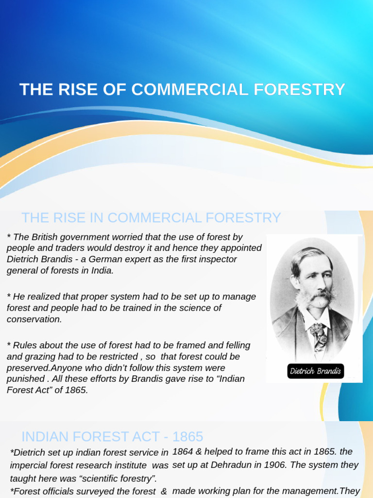 Rise of Commercial Forestry in India | PDF