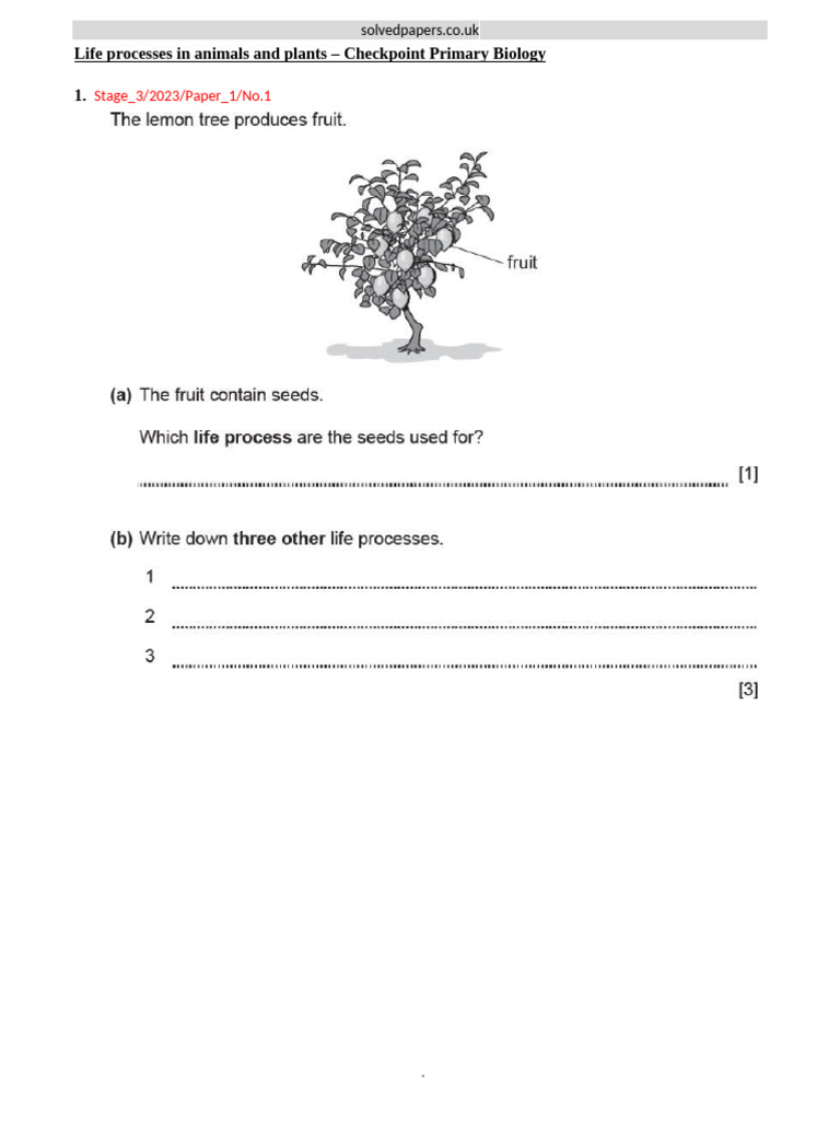 Life Processes in Biology Papers | PDF