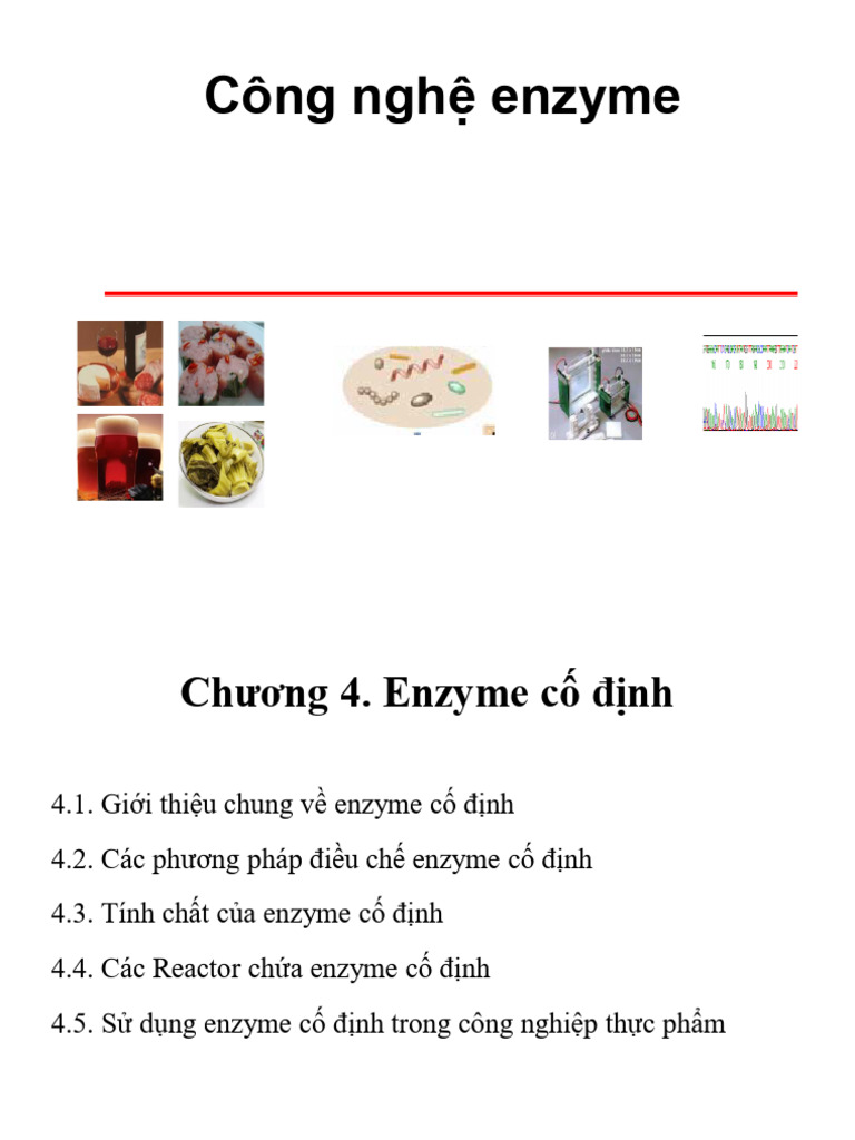 Chương 4. Enzyme cố định | PDF