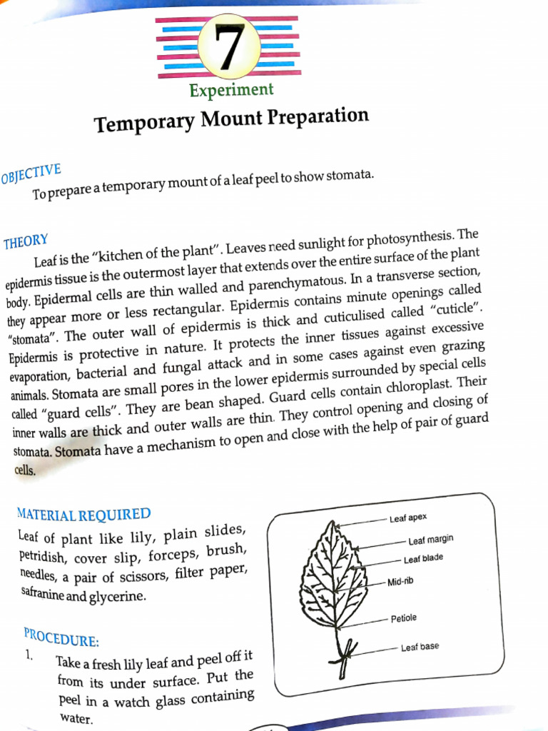 Biology Experiments Class-10th-Output | PDF