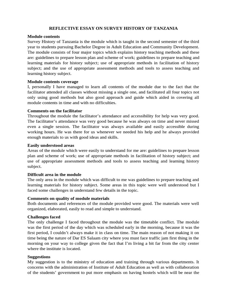 Reflective Essay Portfolio | PDF | Teaching Method | Facilitator